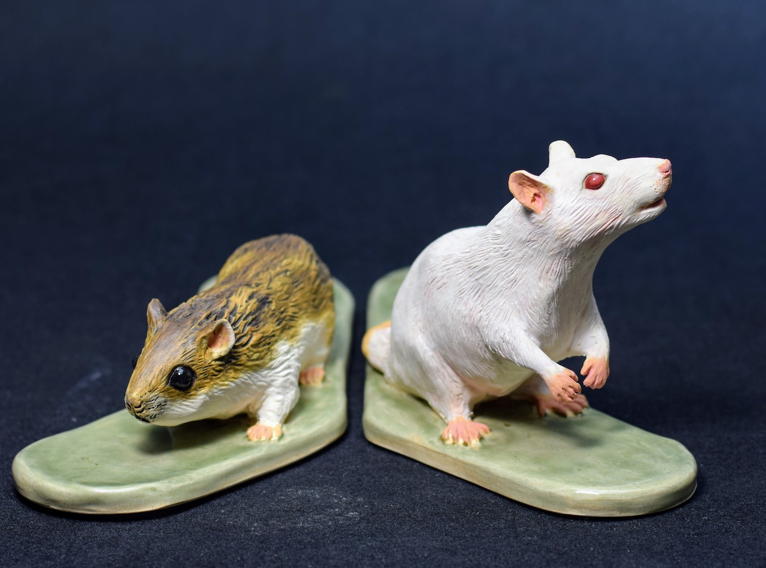 Chinese Hamster and Lab Rat (2020 Year of the Rat)