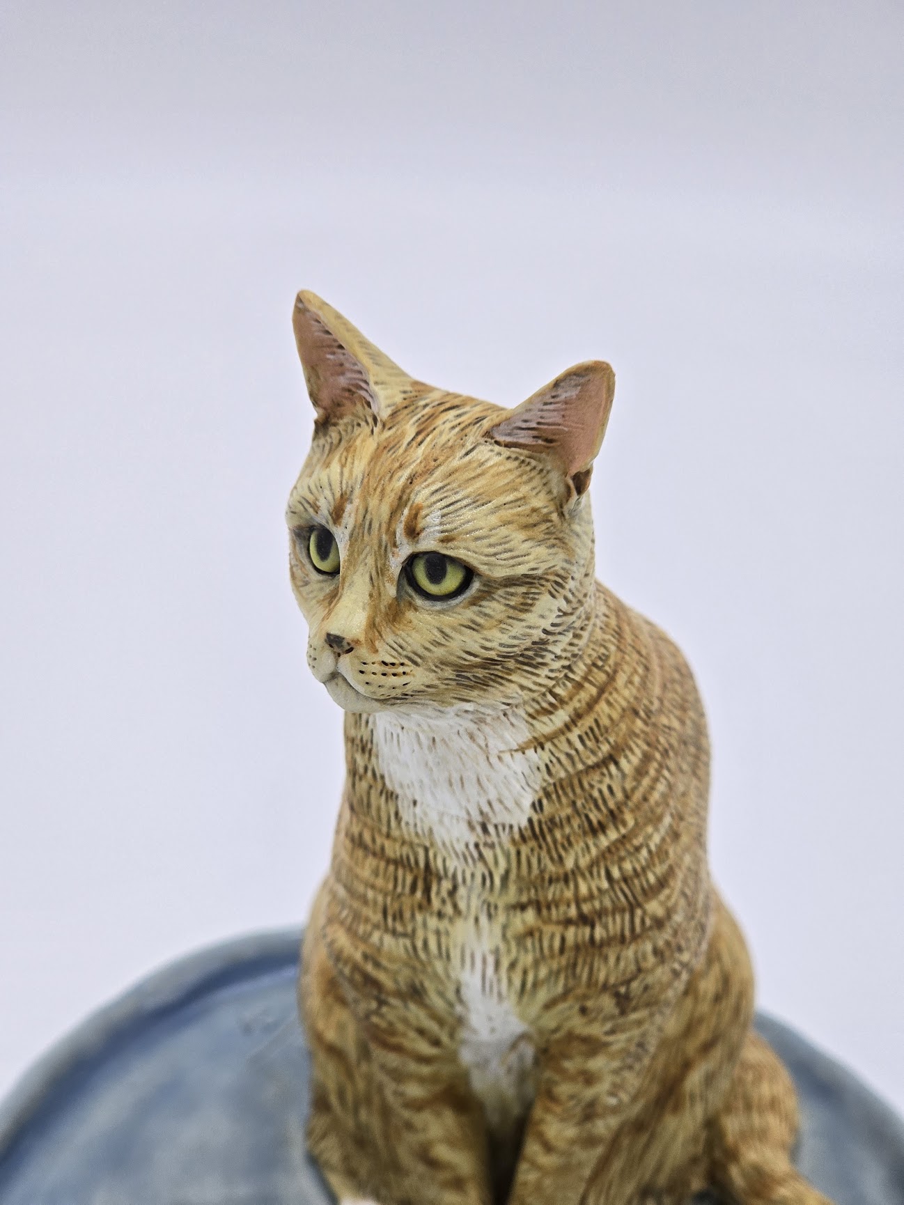 Home [www.jamesjchoi.com]